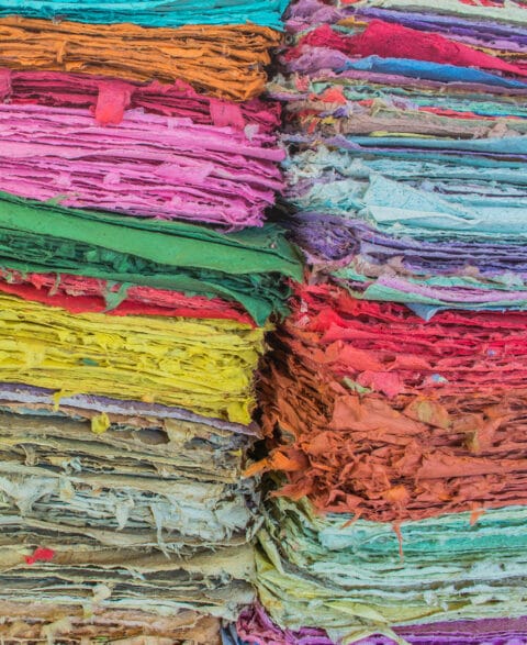 Paper - Singleton Birch